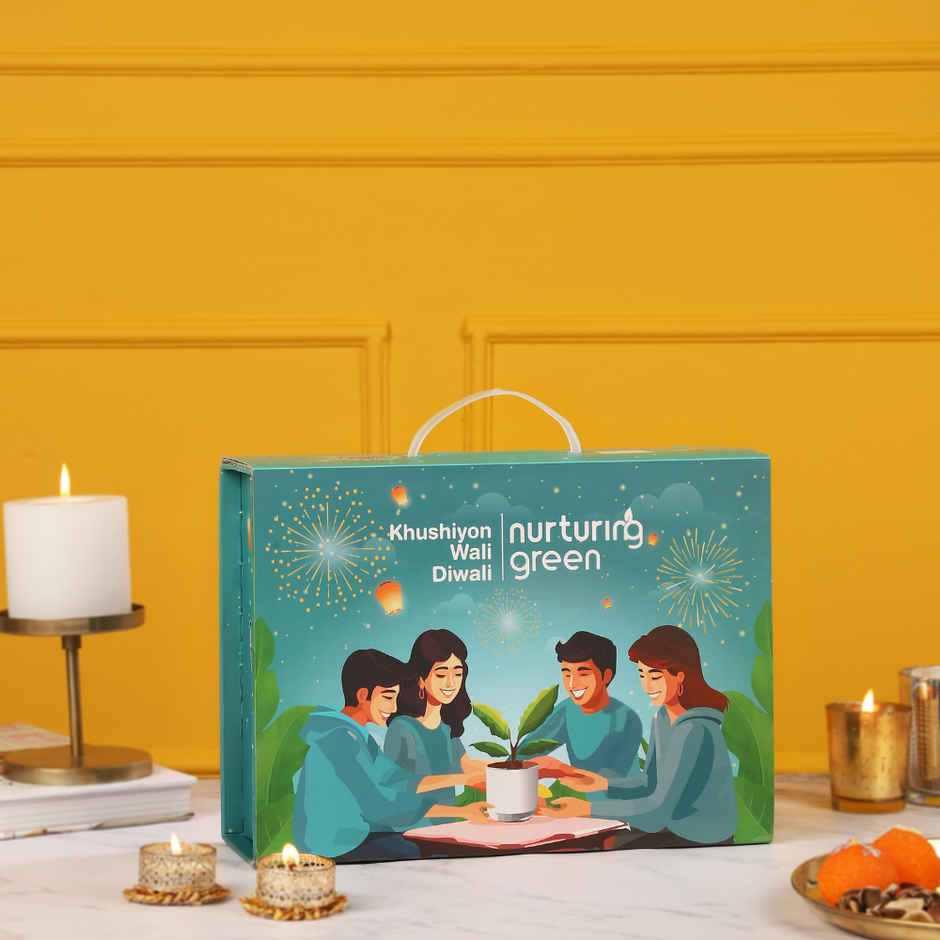 Buy Nurturing Green Diwali 'Zen Corner' Gift Box with Plant Online ...