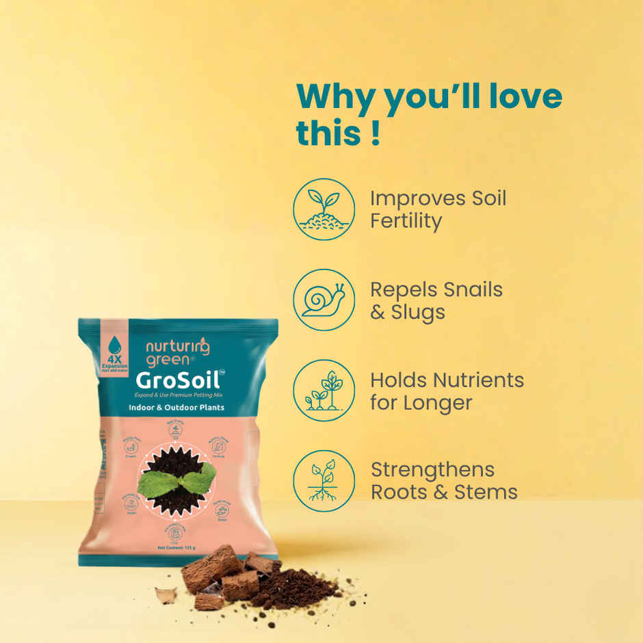 Nurturing Green GroSoil Premium Potting Soil Mix Makes - Buy at ₹71 ...
