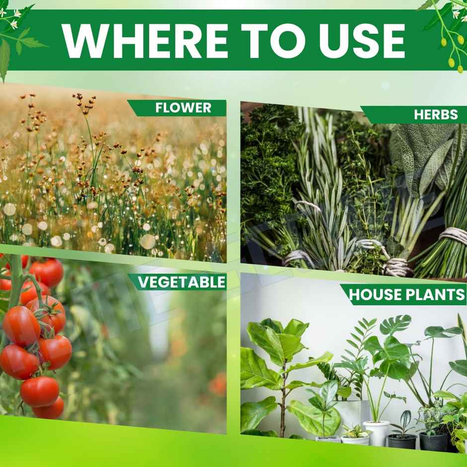 Buy Home-Secure Water Soluble Neem Oil Insect Repellent for Plants ...
