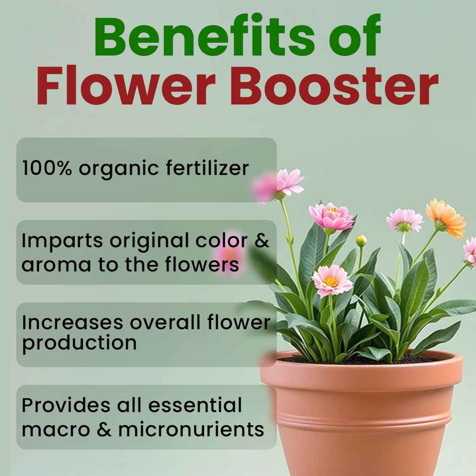 Buy Garden Genie Flower Booster & Neem Cake Powder | Fertilizer for ...