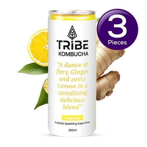 Buy Tribe Naturally Sparkling Probiotic Green Tea With Ginger & Lemon ...