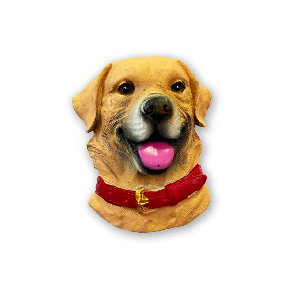 Buy Chrome Dog 3D Fridge Magnet Online - Price @ ₹99 | Instant Delivery ...