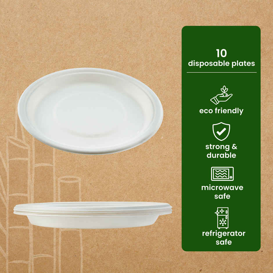 Buy BAY6 Round Disposable Flat Plate - 12 Inch - Pack Of 10 Online ...