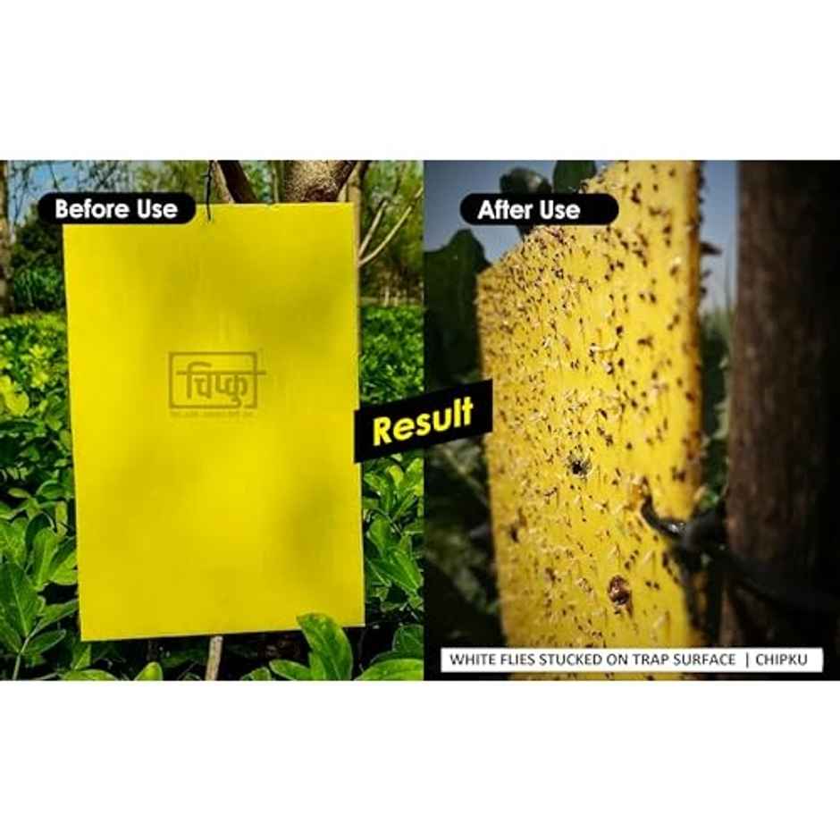 Buy Chipku A5 Yellow Sticky Trap For Insects Pack Of 25 Sheets| For ...