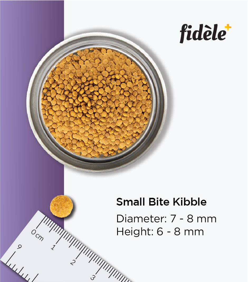 Fidele Dry Dog Food Adult Small & Medium - Buy at ₹800 Online | Instant ...