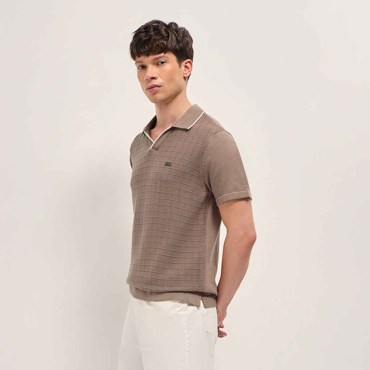 Buy The Bear House Men's Regular Fit Check Textured Flat Knit Polo with ...