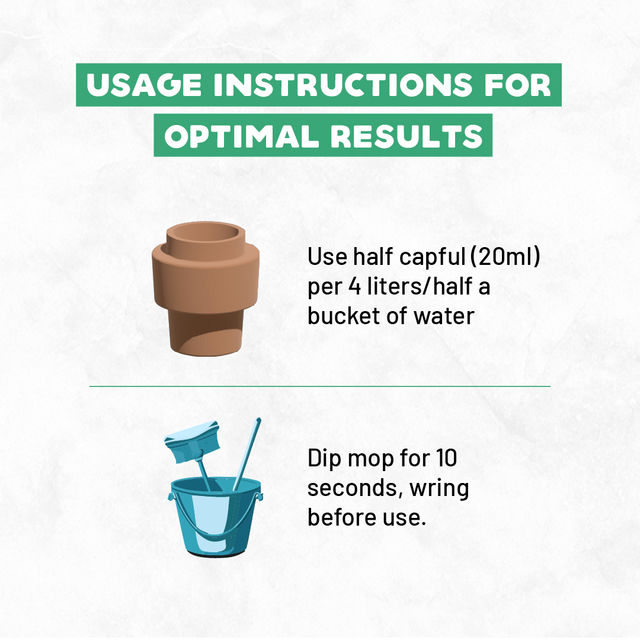 Buy Born Good Plant Based Turkish Applewood Floor Cleaner ...