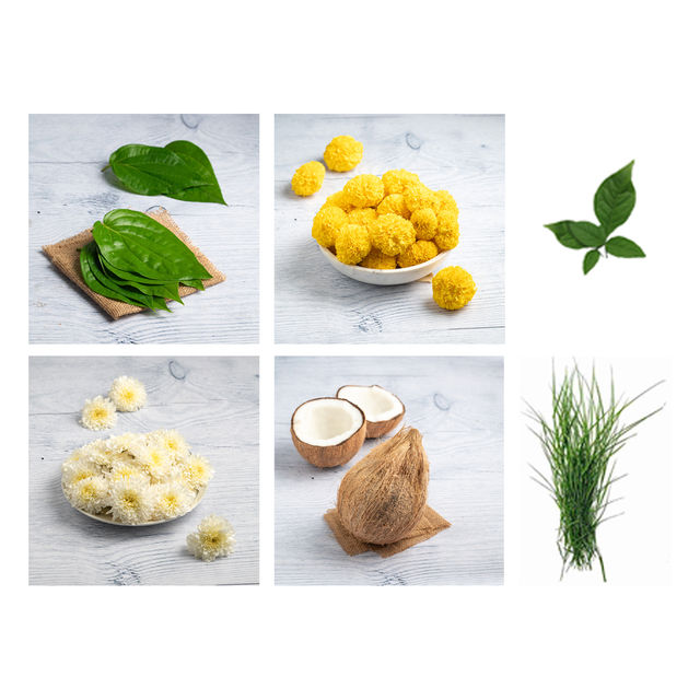 Buy Vilvam Leaves (50g) & Betel Leaves (5pc) & Coconut (Thengaai) Large ...