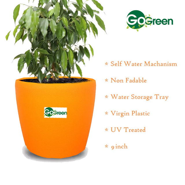 Buy Go Green Divine Pot No 50 - Assorted Colour | 2 Pcs at ₹169 ...