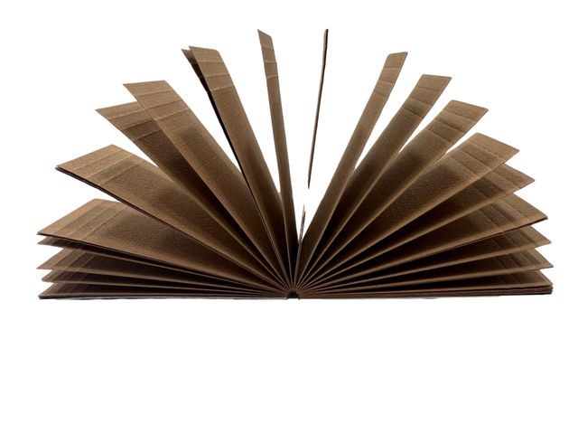 Buy Stash-Pro Premium Roach Book Online - Price @ ₹50 | Instant ...