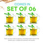 Buy Yera Cosmos 240 Ml Tea/Coffee/Green Tea Cup Set 6 Pc Online - Price ...