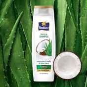 Parachute Advansed Damage Repair Protein Shampoo - Buy at ₹167 Online ...