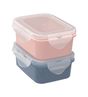 Buy All Time Lock & Safe Storage Container Set Of 2, (500 Ml X 2 ...