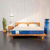 Buy Flo Ortho Mattress Sleep Well with our Mattress | 6 in Mattress in ...