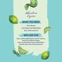 Buy Absolut Mixers Sparkling Lime & Mint (Mojito Flavoured) Combo ...