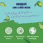 Buy Absolut Mixers Sparkling Lime & Mint (Mojito Flavoured) Combo ...