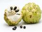 Buy Custard Apple (Seethapalam) Semi Ripe Online - Price @ ₹118 ...