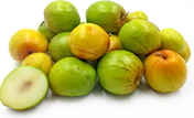 Ber Jujube - Buy at ₹70 Online | Instant Delivery - Zepto