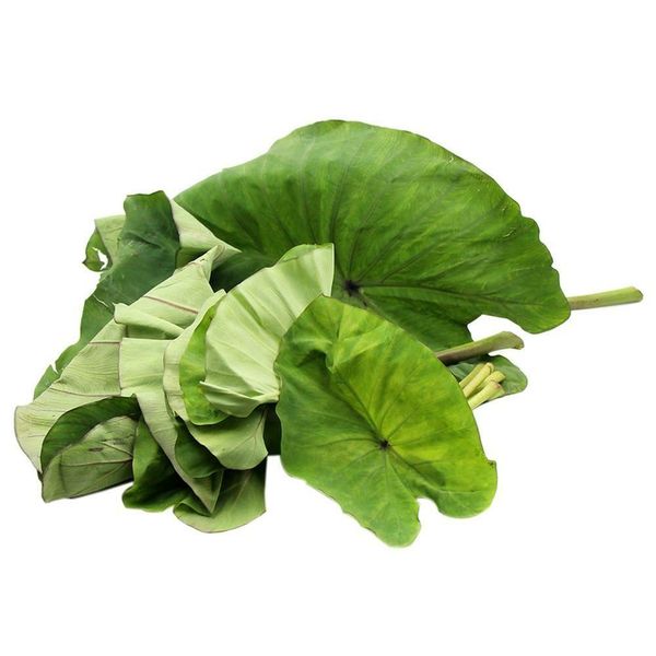 Colocasia Leaves (Arvi Patta) 10 piece - Buy online at ₹22 near me
