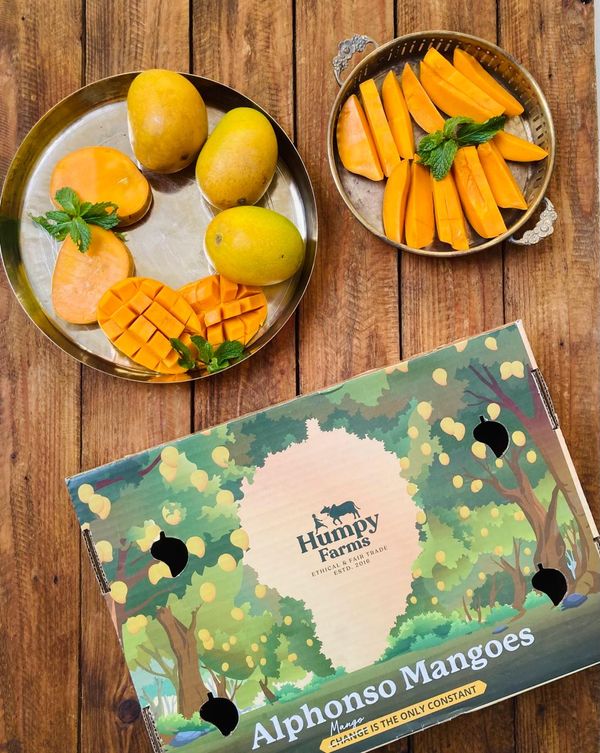 Humpy Farms Organic Mango Alphonso - Buy online at ₹754 near me