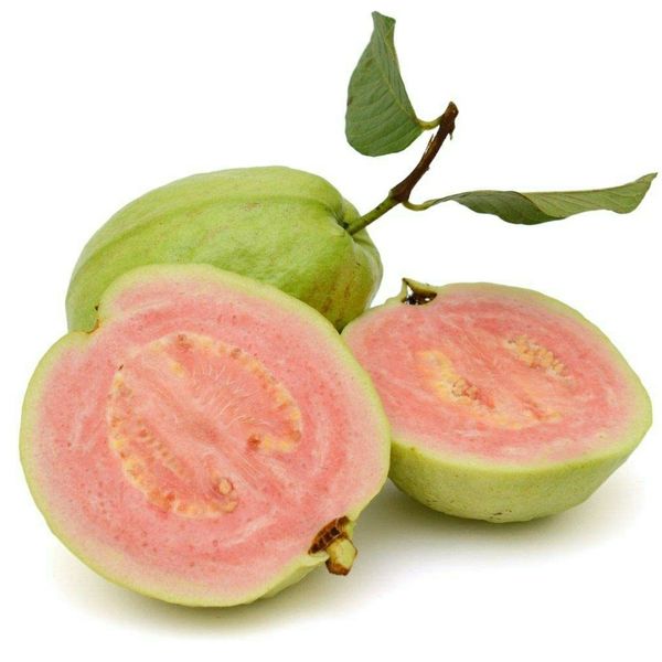 Guava Thai Pink - Buy online at ₹91 near me