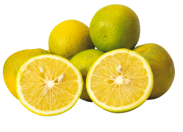 Mosambi Regular 1 kg (Approx. 8 - 10 pcs) - Buy online at ₹67 near me