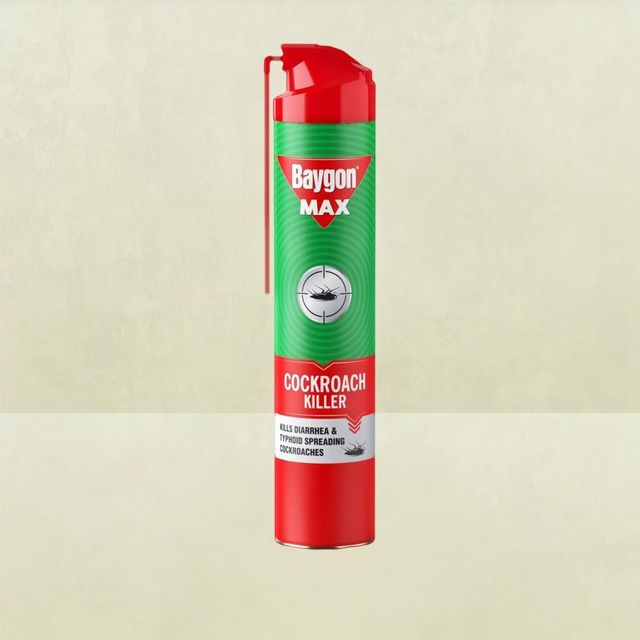 Baygon Max Cockroach Killer Spray, Kills Diarrhea And Typhoid Spreading ...